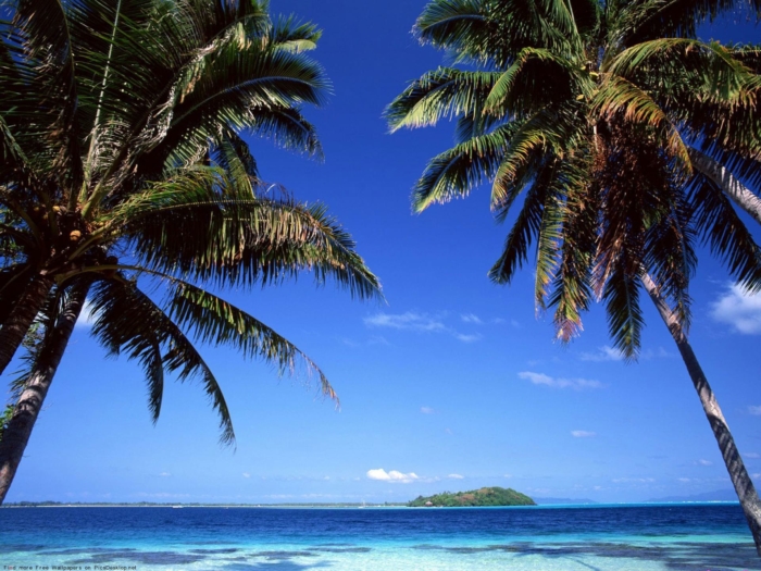 Fotografie krásné letní přírody. 100 obrázků na ploše zdarma