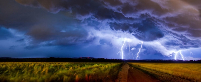 Fotografie krásné letní přírody. 100 obrázků na ploše zdarma
