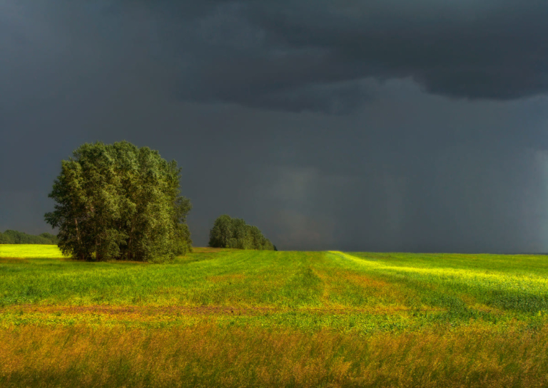 Fotografie krásné letní přírody. 100 obrázků na ploše zdarma
