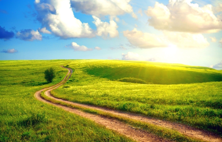 Images of Beautiful Summer Nature - 100 Photos for Your Desktop