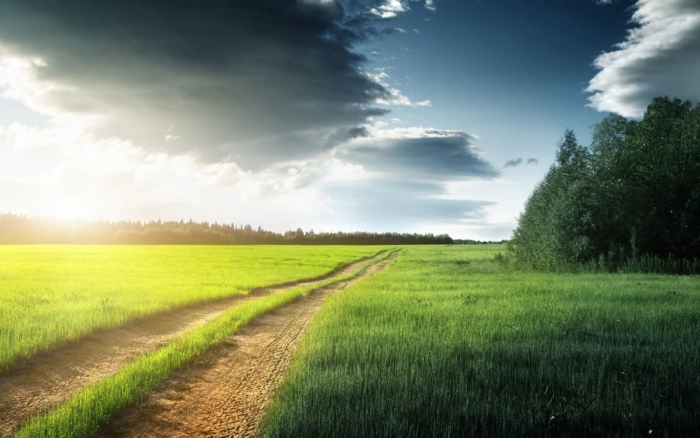Imágenes de la hermosa naturaleza de verano. 100 fotos para tu escritorio Imágenes de la hermosa naturaleza de verano. 100 fotos para tu escritorio