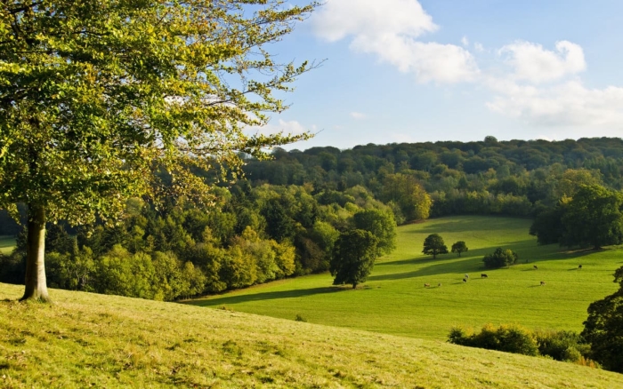 Images de la belle nature d'été. 100 photos pour votre bureau