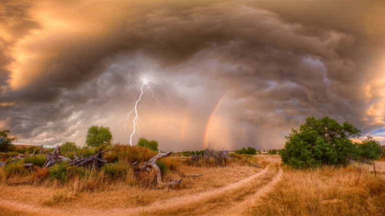 Images de la belle nature d'été. 100 photos pour votre bureau