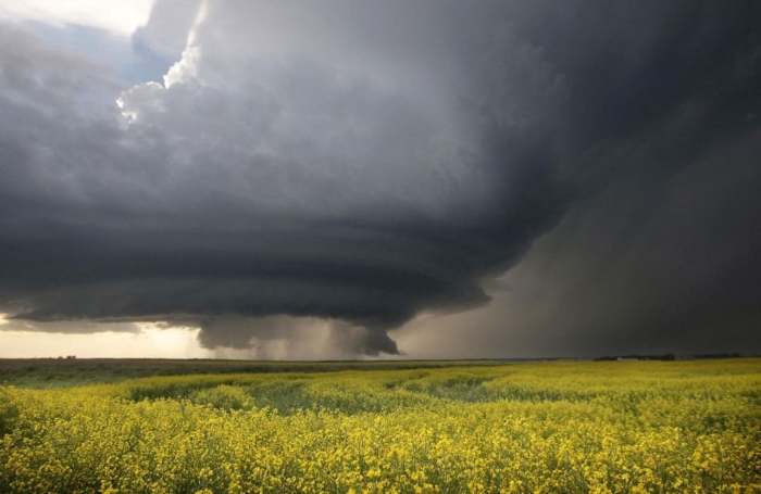 Images de la belle nature d'été. 100 photos pour votre bureau