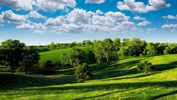 Images de la belle nature d'été. 100 photos pour votre bureau