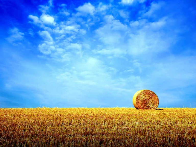 Fotografie krásné letní přírody. 100 obrázků na ploše zdarma