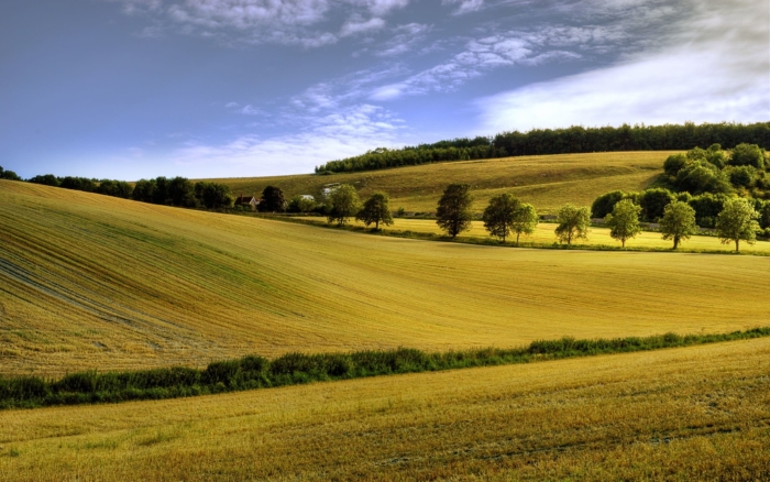 Images de la belle nature d'été. 100 photos pour votre bureau