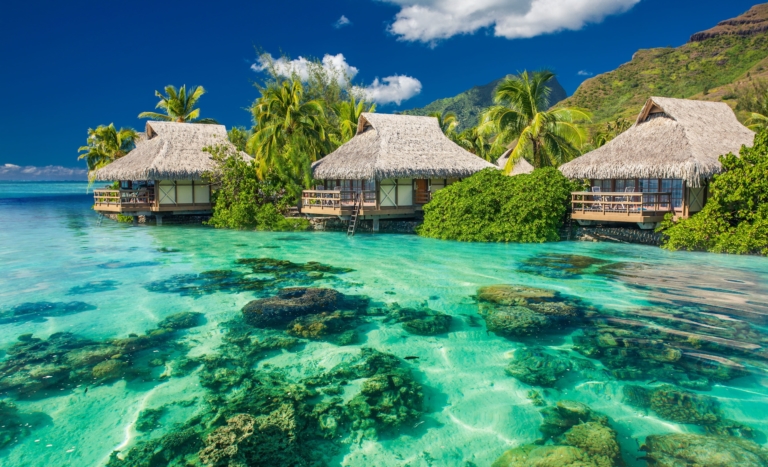 Images of Beautiful Summer Nature - 100 Photos for Your Desktop