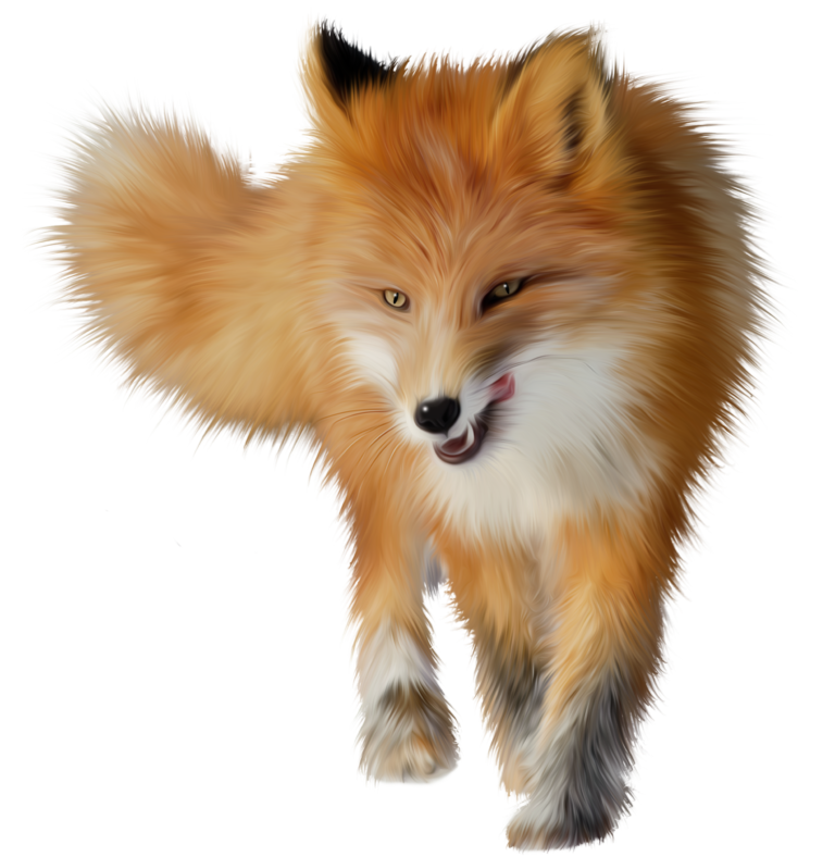 Pictures of Foxes on a Transparent Background. 100 Best Free PNGs