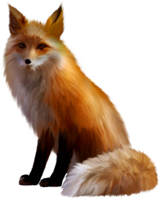 Pictures of Foxes on a Transparent Background. 100 Best Free PNGs
