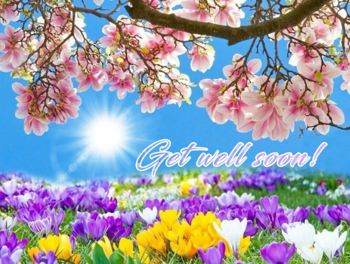 Pics to Say Get Well Soon! 50 Funny Cards for Free