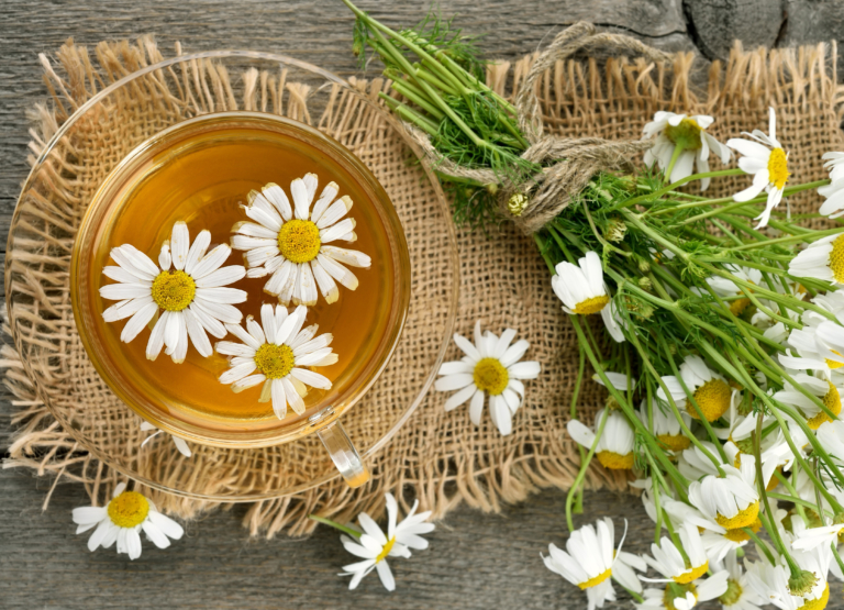 Schöne Fotos von Kamillenblüten - 100 Bilder in hoher Auflösung