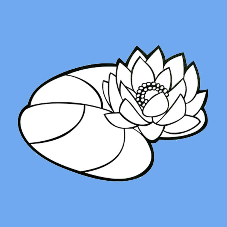 Piękne rysunki kwiatowe - 200 zdjęć do szkicowania