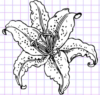 How to Draw a Realistic Bush Step by Step - Fairfax Excing