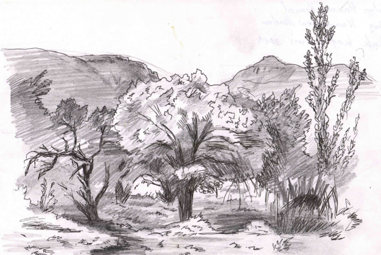 Dessins de la nature pour le croquis - 100 belles images de paysages