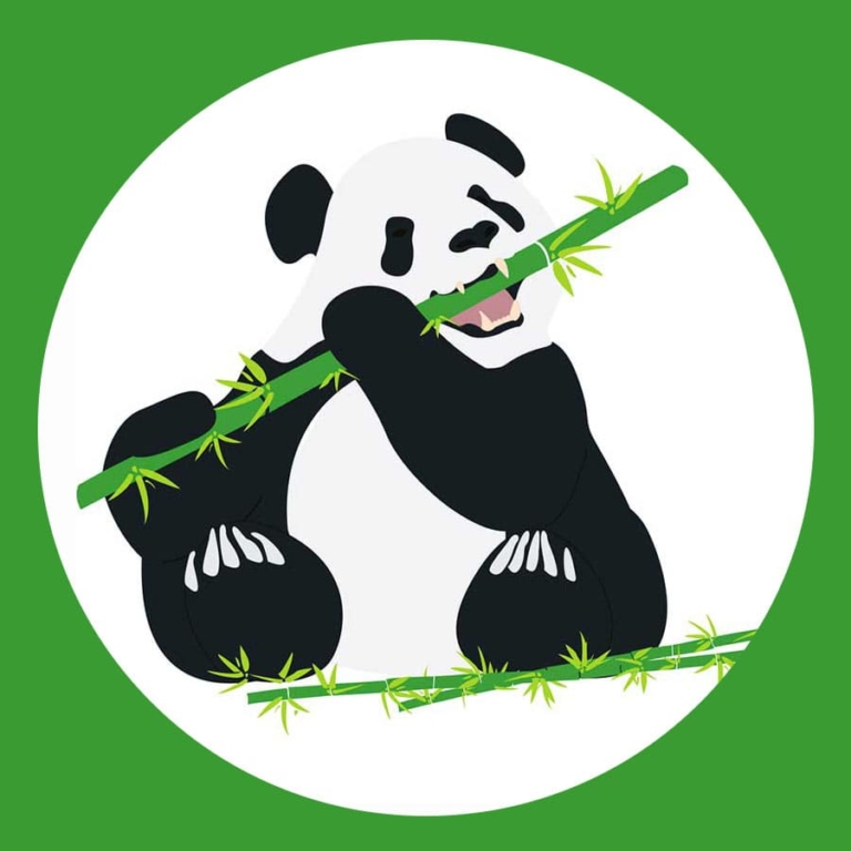 Obrazki pandy do rysowania - 100 rysunków do szkiców