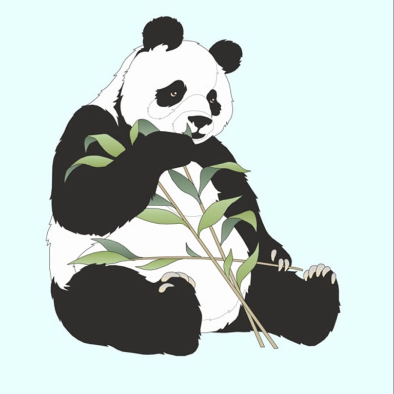 Obrazki pandy do rysowania - 100 rysunków do szkiców