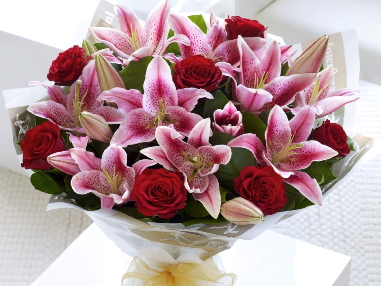 Fotos von schönen Lilien - 111 Bilder von verschiedenen Arten von Lilien