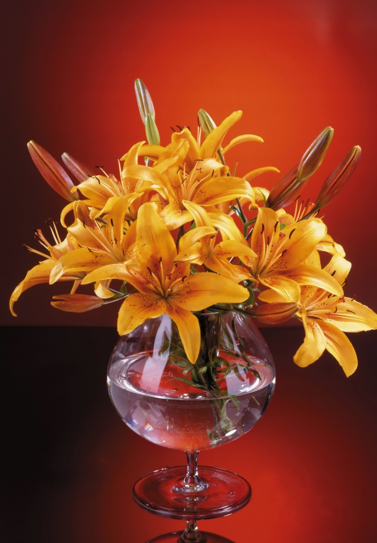 Foto di bellissimi gigli - Più di 100 immagini di diversi tipi di gigli