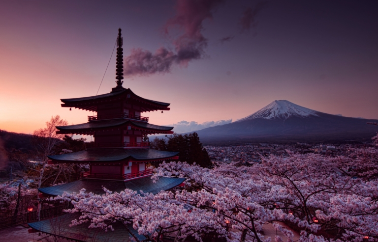 Fotografie květu Sakurů - 100 krásných obrázků zdarma