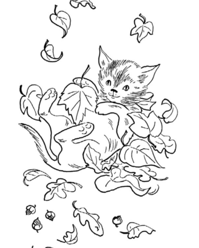 Imágenes y dibujos de otoño - 150 ideas para dibujar