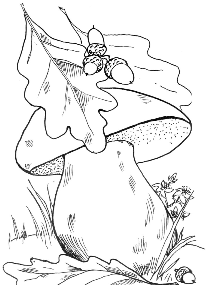 Pictures and Drawings of Autumn For Sketching - 150 Ideas For Drawing