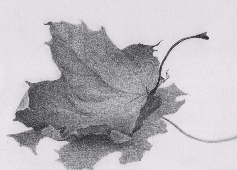 Imágenes y dibujos de otoño - 150 ideas para dibujar