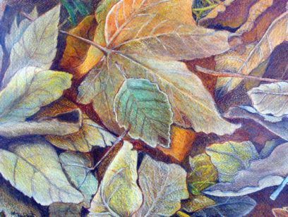 Imágenes y dibujos de otoño - 150 ideas para dibujar