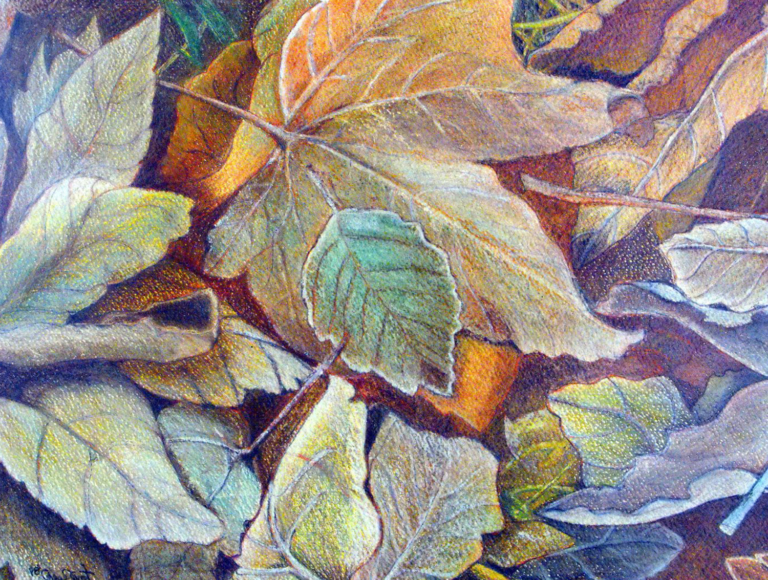 Imágenes y dibujos de otoño - 150 ideas para dibujar