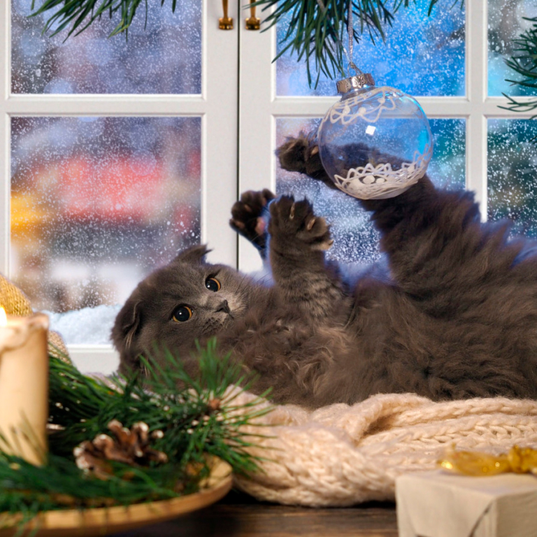 Winter Profile Pictures - 200 Beautiful Avatars For Free