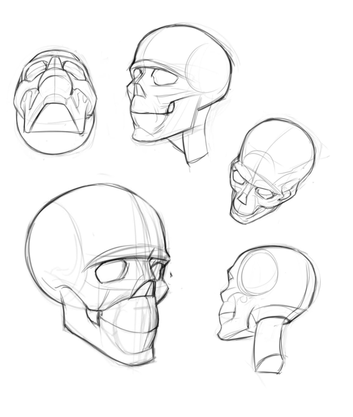 Dessins du corps humain pour l'esquisse