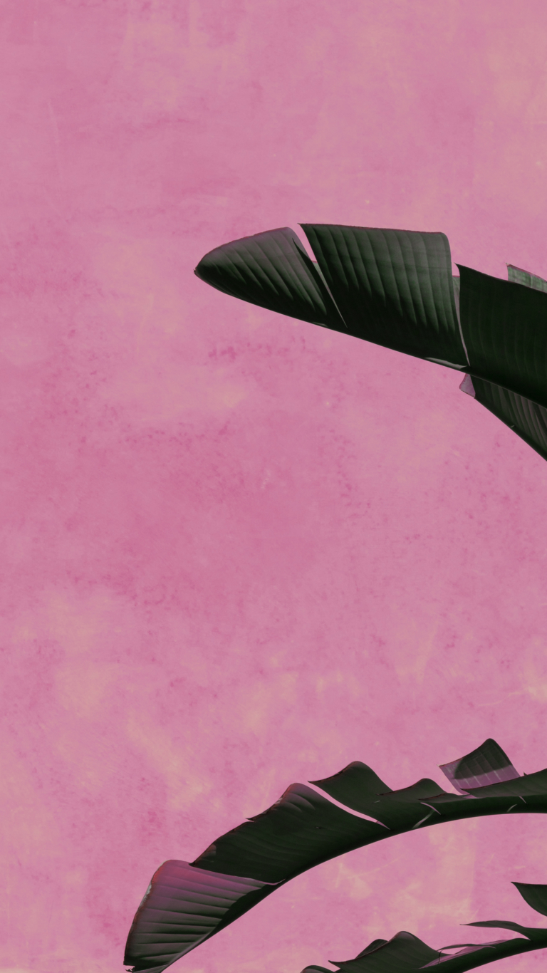 Pink Phone Wallpapers - 100 Pink Smartphone Backgrounds