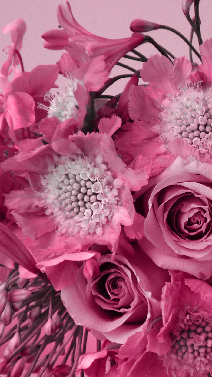 Pink Phone Wallpapers - 100 Pink Smartphone Backgrounds