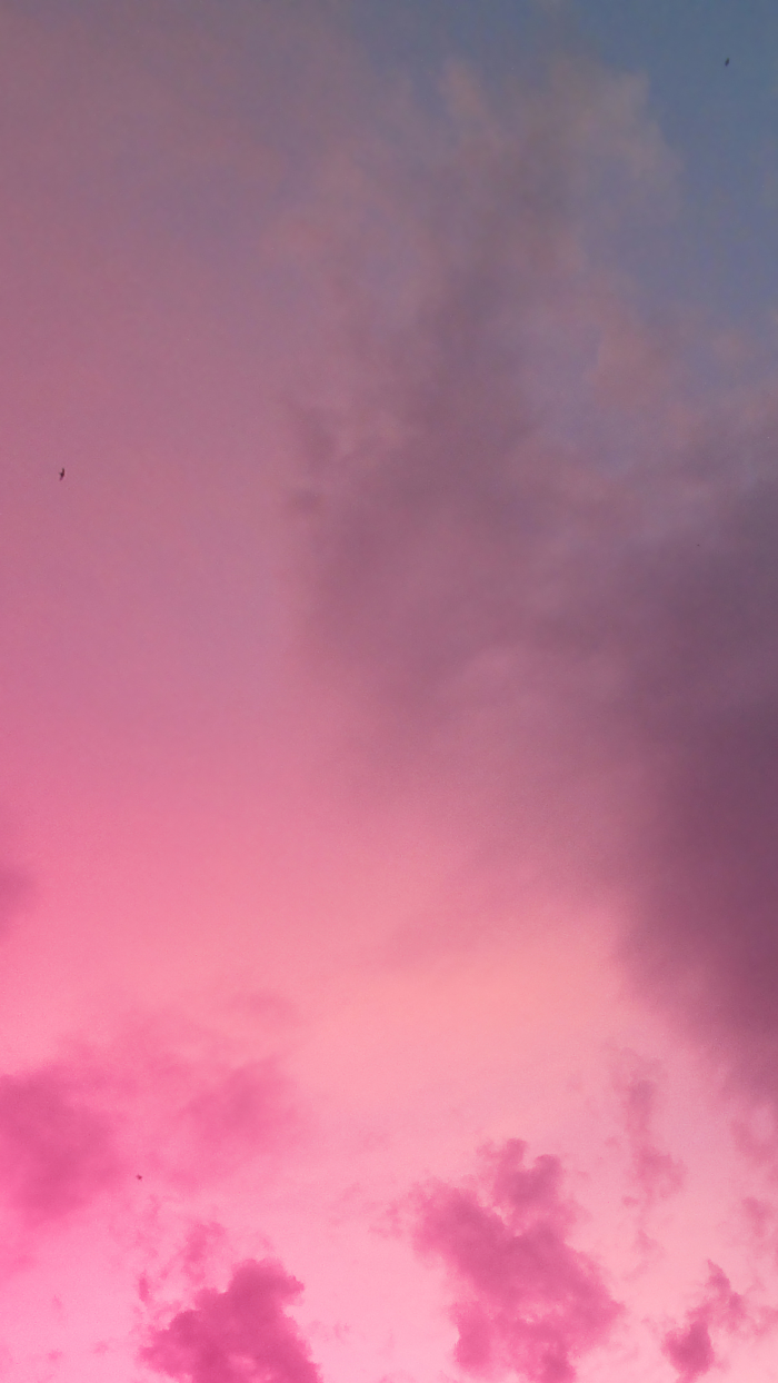 Pink Phone Wallpapers - 100 Pink Smartphone Backgrounds