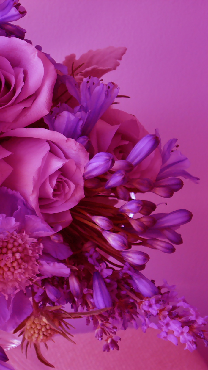 Pink Phone Wallpapers - 100 Pink Smartphone Backgrounds