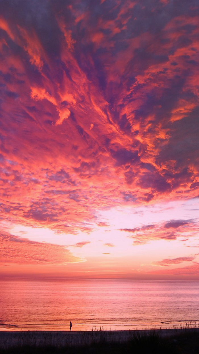 Pink Phone Wallpapers - 100 Pink Smartphone Backgrounds