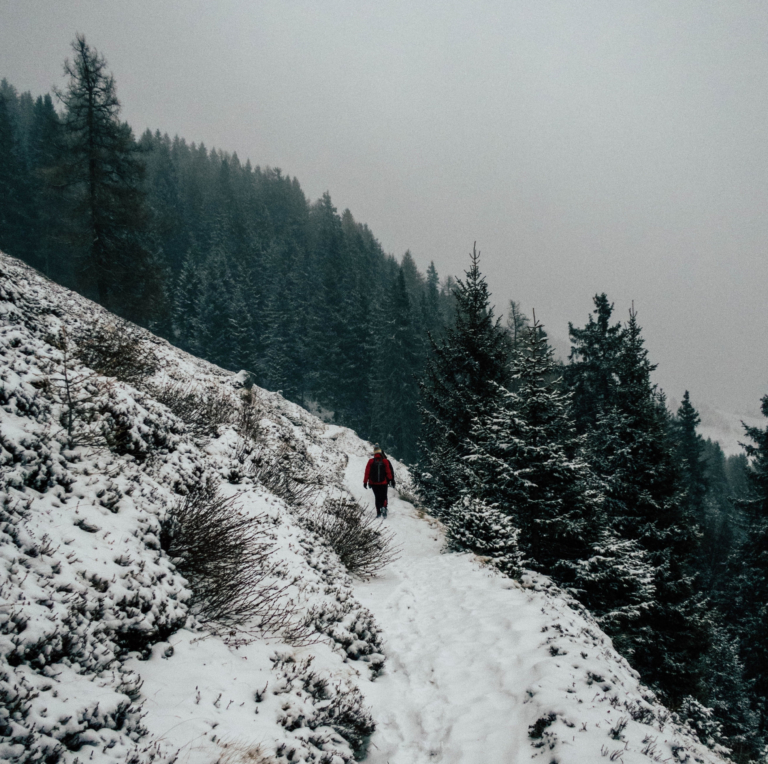 Winter Profile Pictures - 200 Beautiful Avatars For Free