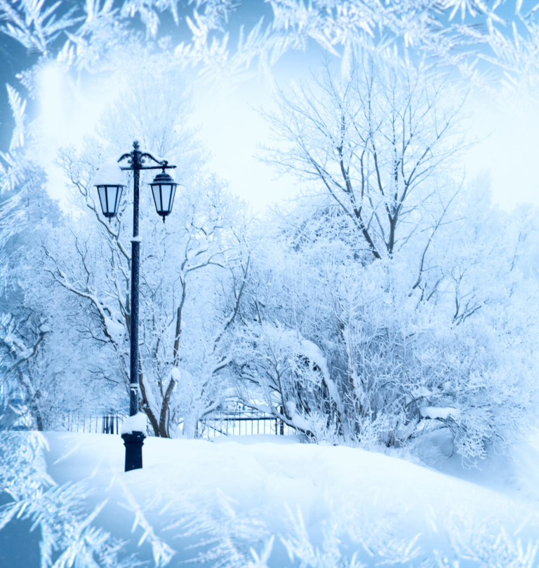 Winter Profile Pictures - 200 Beautiful Avatars For Free