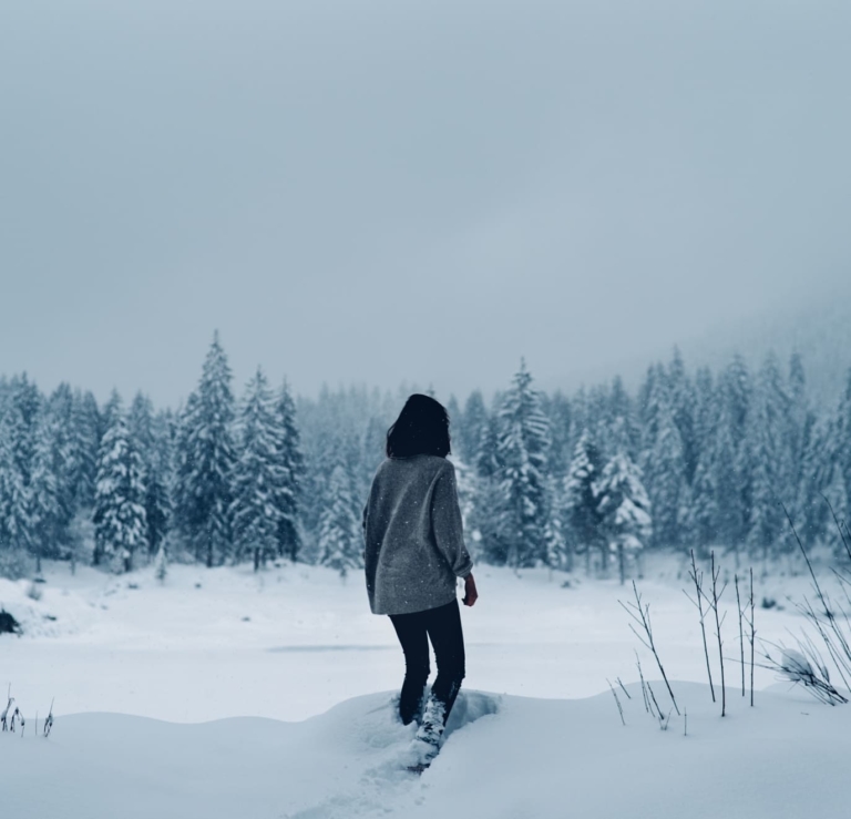 Winter Profile Pictures - 200 Beautiful Avatars For Free