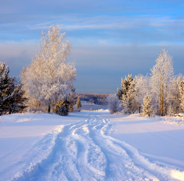 Winter Profile Pictures - 200 Beautiful Avatars For Free