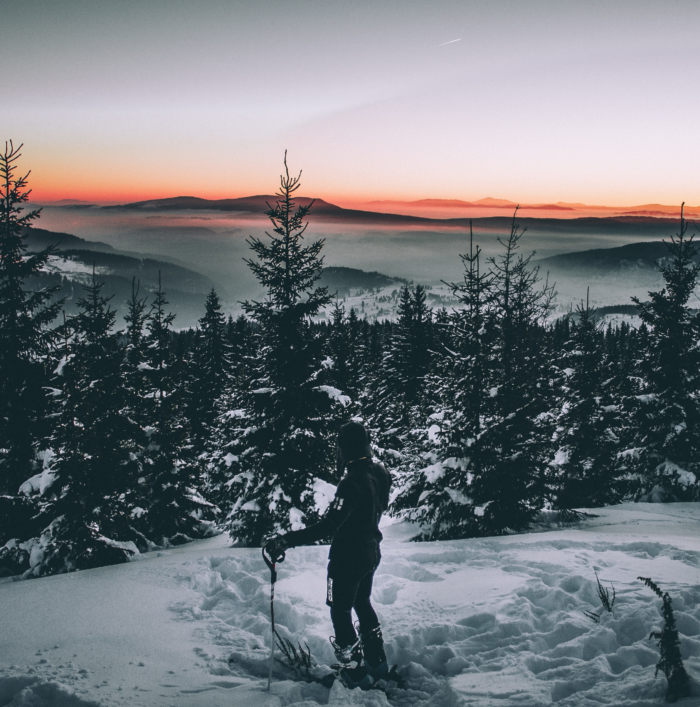 Winter Profile Pictures - 200 Beautiful Avatars For Free