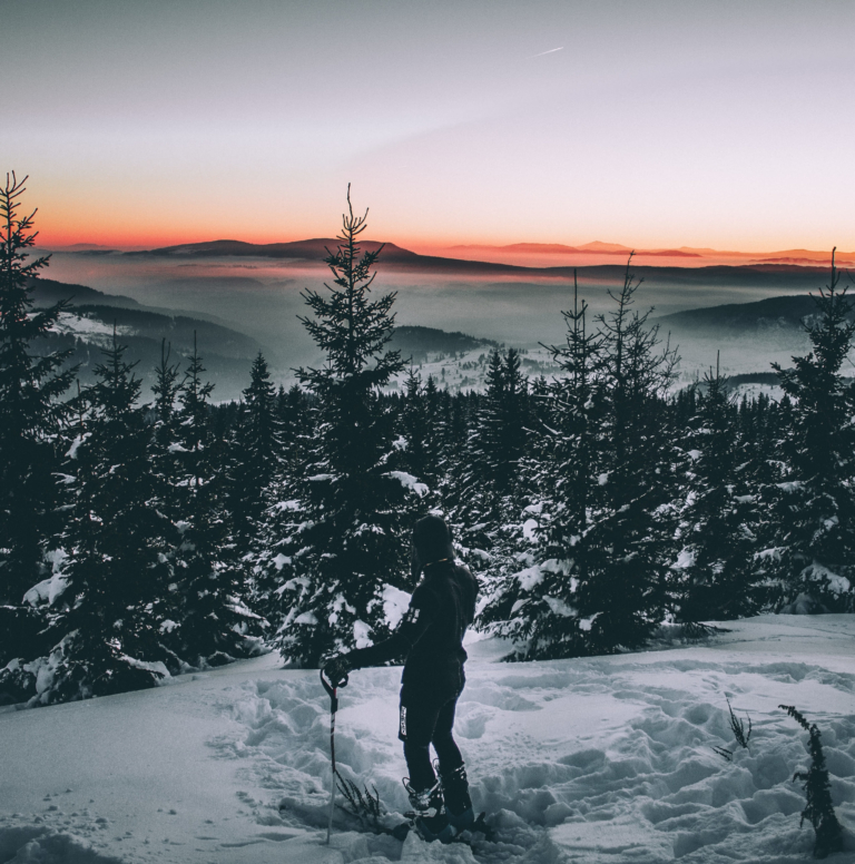 Winter Profile Pictures - 200 Beautiful Avatars For Free