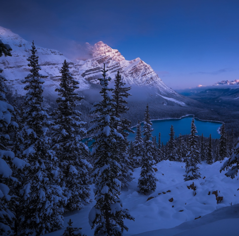 Winter Profile Pictures - 200 Beautiful Avatars For Free