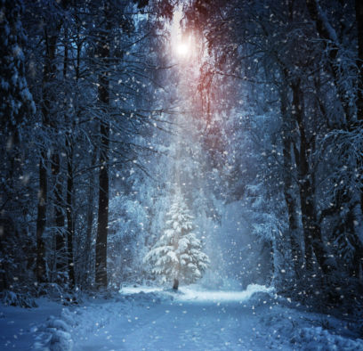 Winter Profile Pictures - 200 Beautiful Avatars For Free