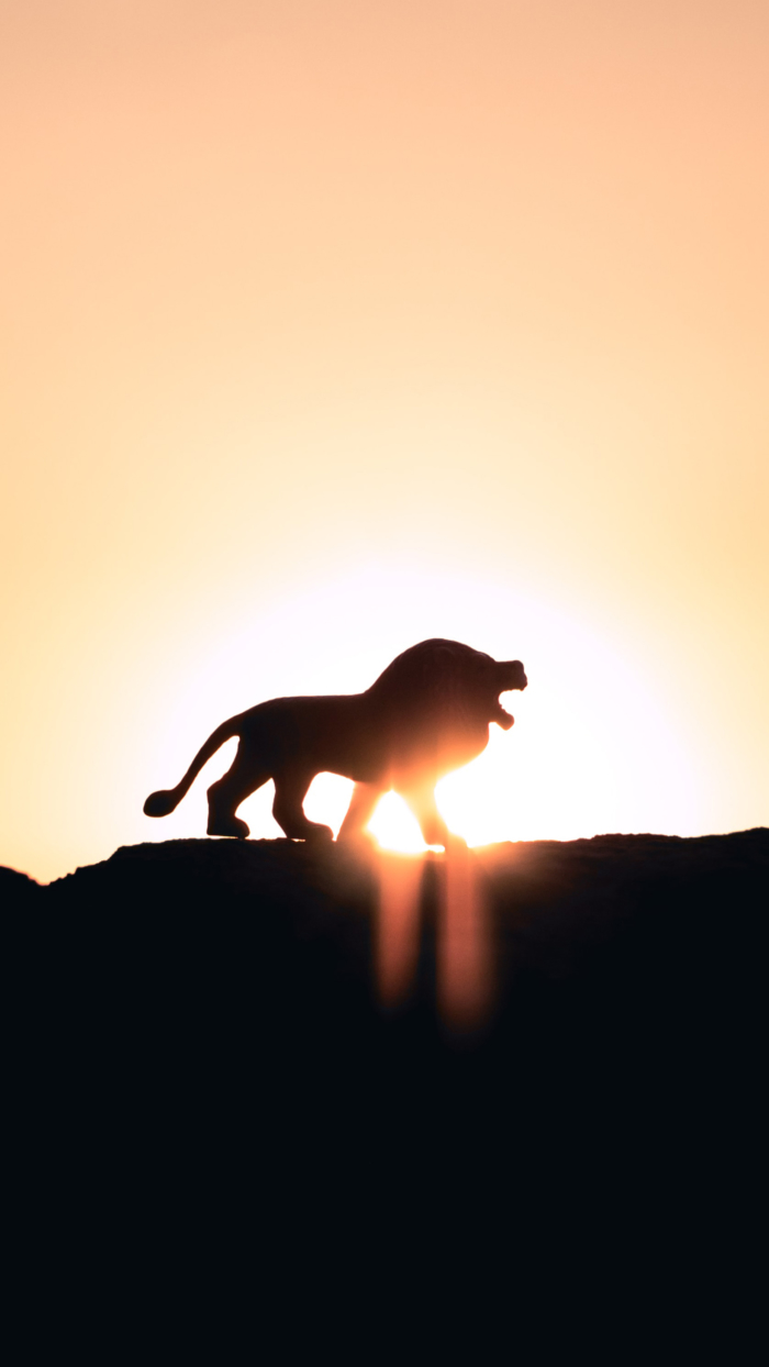 León fondos de pantalla del teléfono