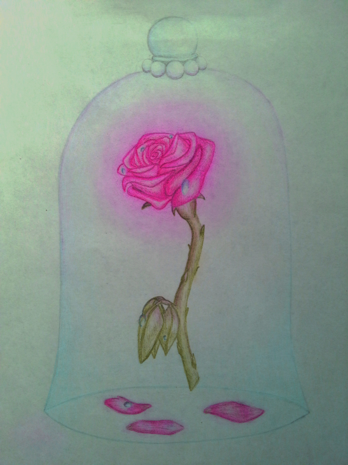 Rysunki i zdjęcia róż do szkicowania