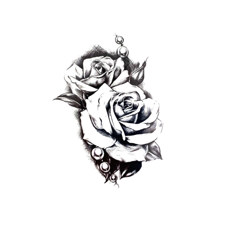 Rysunki i zdjęcia róż do szkicowania