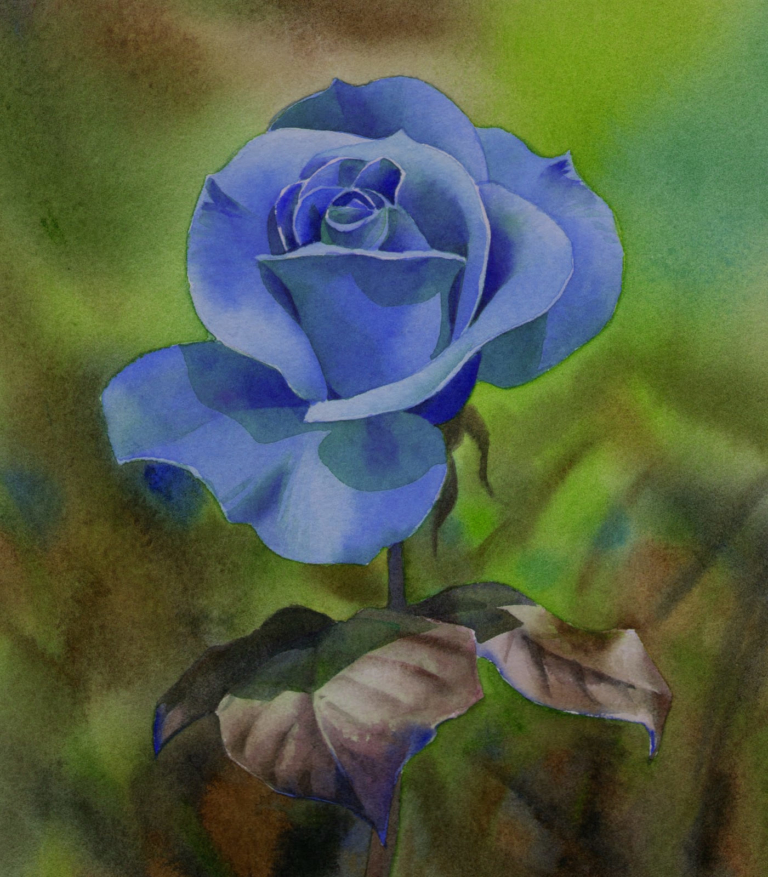 Rosen Zeichnungen und Bilder zum Skizzieren