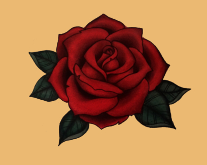 Kresby a obrázky růží pro skicování