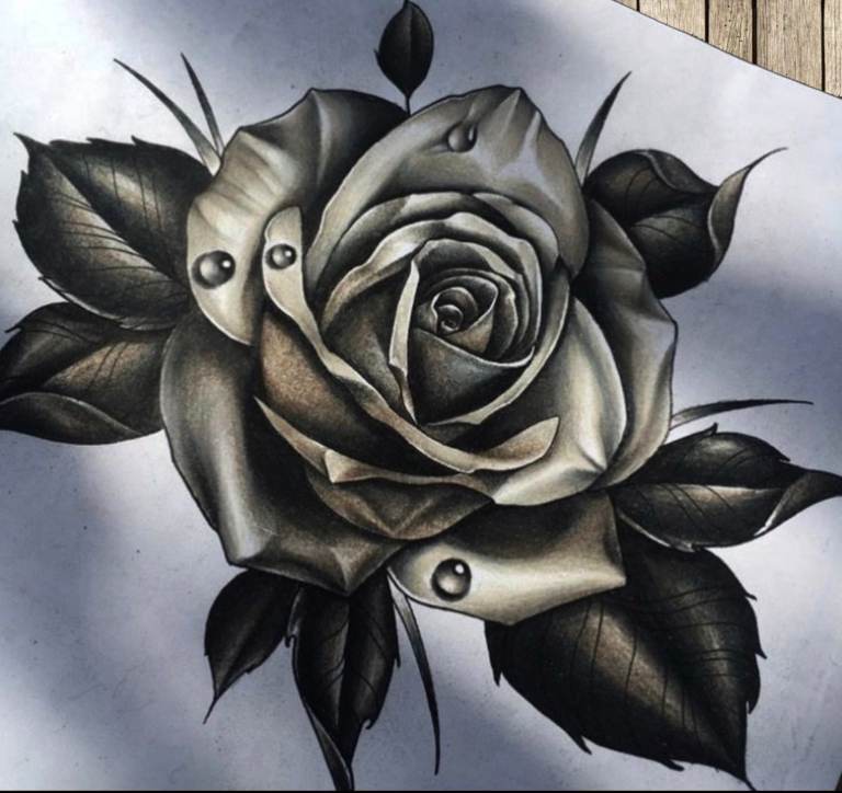 Kresby a obrázky růží pro skicování